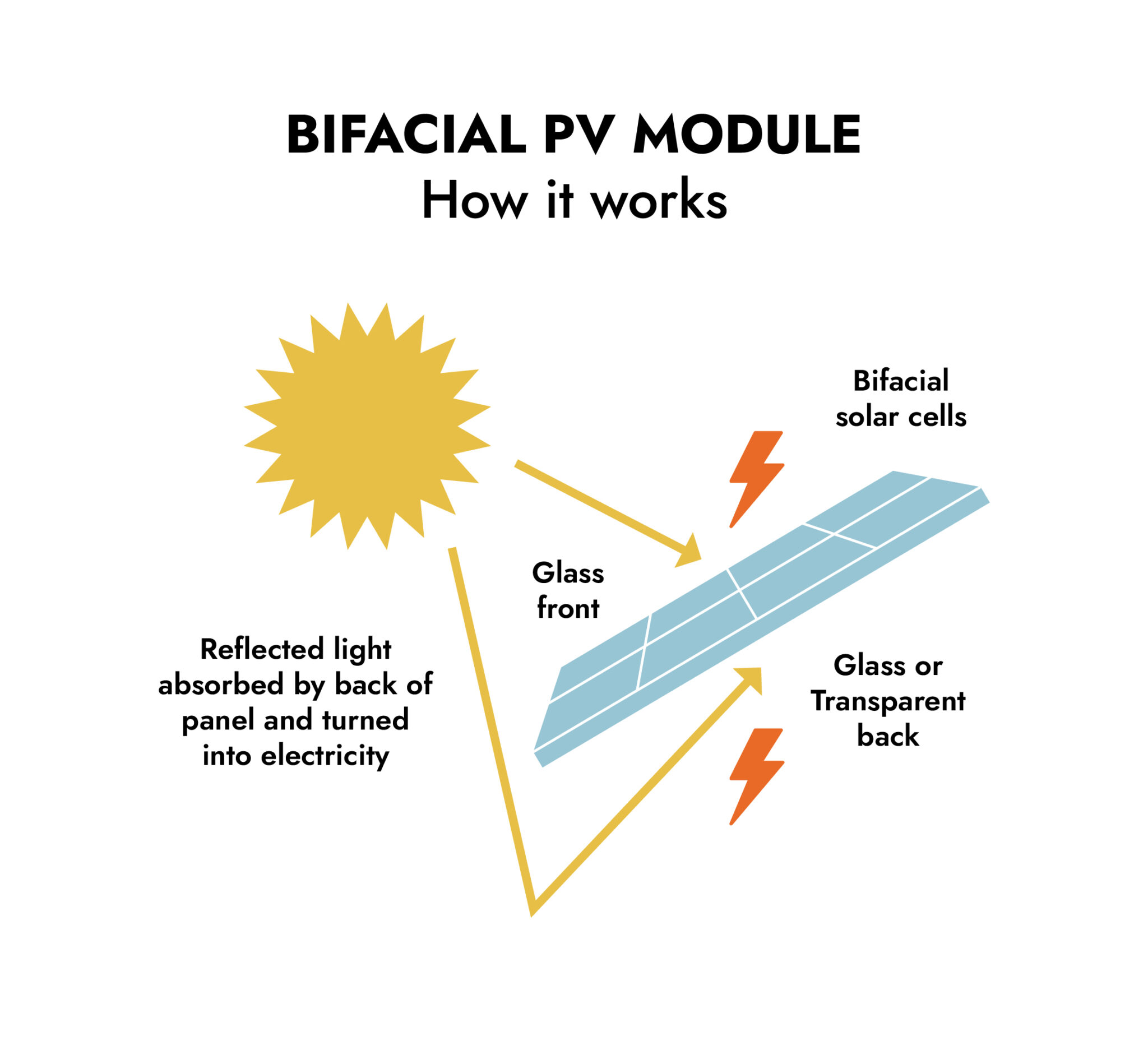 Bifacial PV Modules - Vega Series | Boviet Solar
