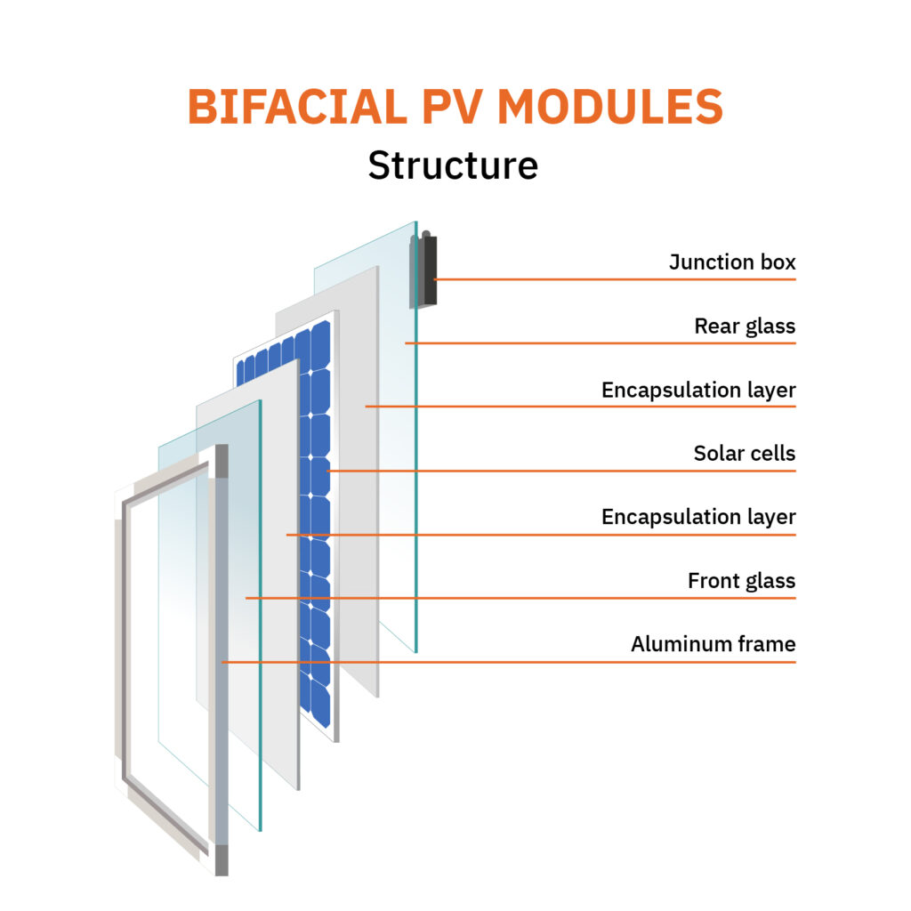 Bifacial PV Modules - Vega Series | Boviet Solar