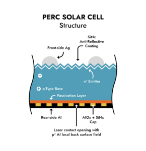 PERC Cell Technology | Boviet Solar