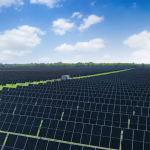 Tier 1 PV Module Manufacturer | Boviet Solar